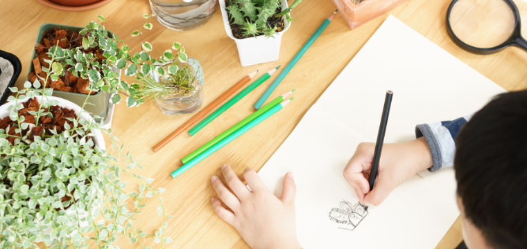 Turtle Bay Exploration Park